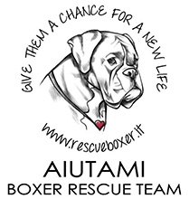Home Rescue Boxer - Aiutami Boxer Rescue Team ODV